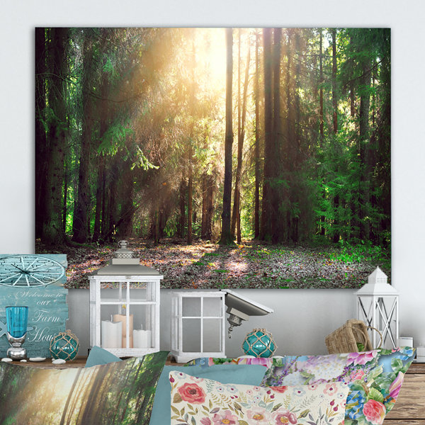 Millwood Pines Sun Rays In Misty Old Forest III - Print on Canvas | Wayfair Millwood Pines Sun Rays In Misty Old Forest III - Print on Canvas | Wayfair